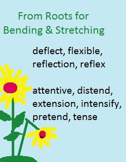English Words from Latin Verbs of Motion